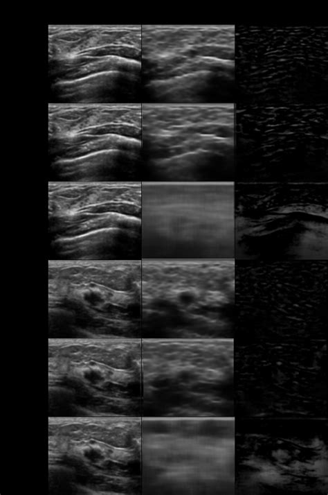 Reconstructed Images By Model Download Scientific Diagram