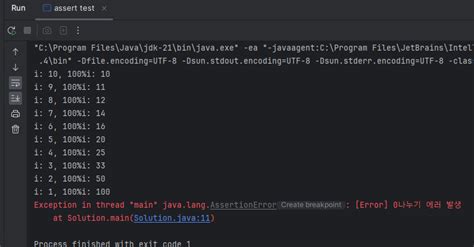 Javaintellij Assert