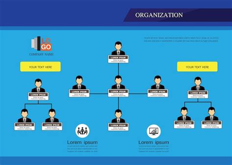 Premium Vector Organization Chart Infographics