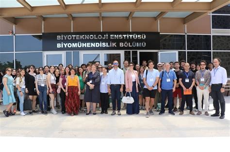 Functional Surfaces And Interfaces Workshop Gazetesu