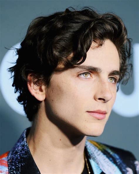 Timothee Chalamet Award Timothee Chalamet Guys Portrait