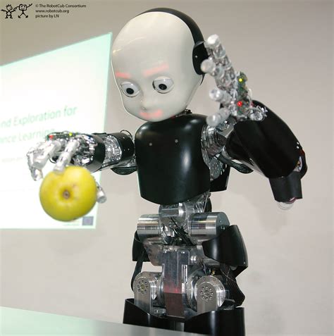 Robotcub An Open Framework For Research In Embodied Cognition