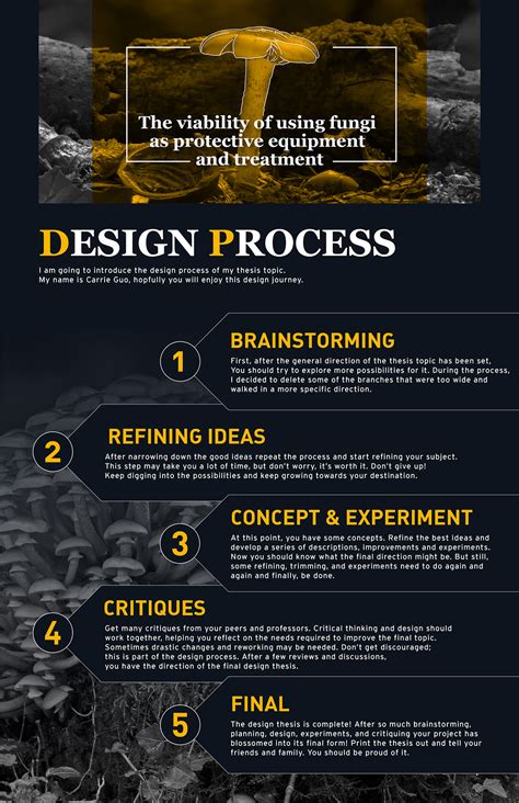 Infographic Poster Behance
