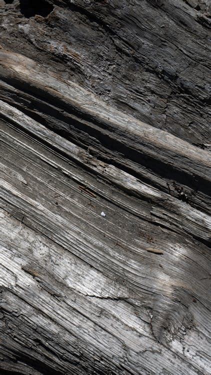 거친 질감 건축 검은 색 나무 고대 나무 고대 목재 표면 고대의 고전적인 디자인 곡물 골동품 나무 골동품 목재 표면 그레인 패턴 나무 나무 껍질 질감
