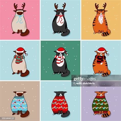 Funny Cat Cartoon Photos And Premium High Res Pictures Getty Images