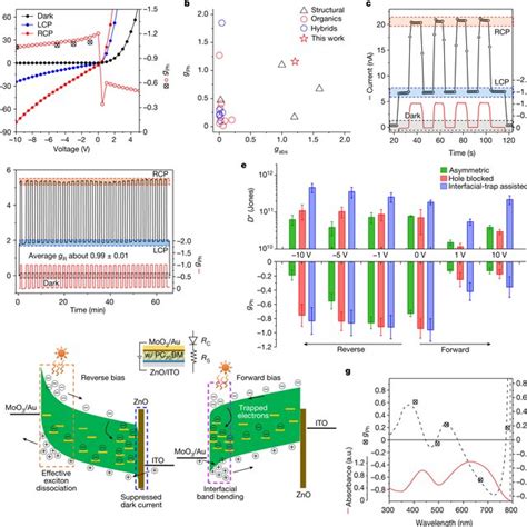 Device Performances Of Cp Photodetectors Based On Chiral Doped Download Scientific Diagram