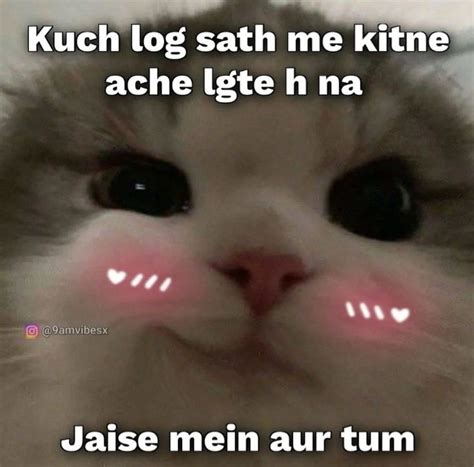 Pin By 🧸 ♥️🧸 On Quick Saves Quick Jokes Funny Compliments Funny