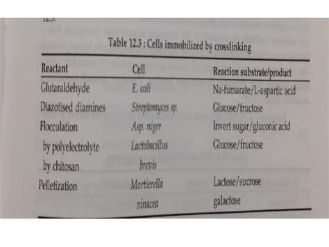 Methods Of Immobilization Of Microbial Cells The Methods