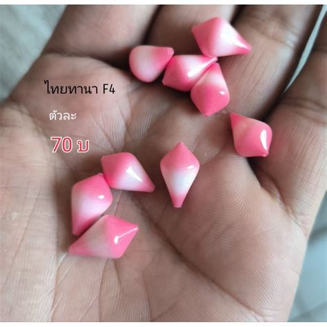 ทุ่นตกกุ้งบ่อ ไทยทานาf4 ตัวละ70บาท Shopee Thailand