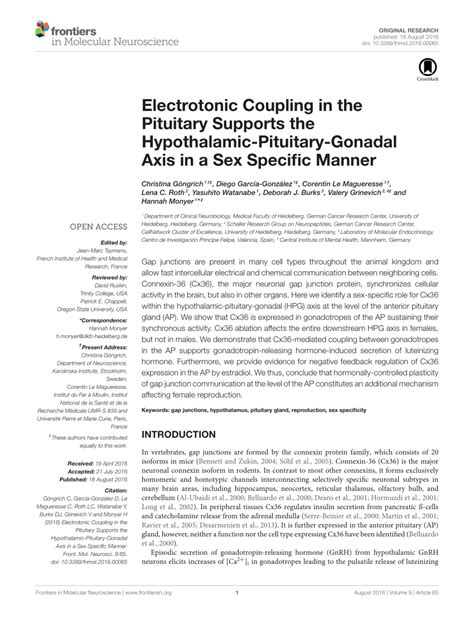 Pdf Electrotonic Coupling In The Pituitary Supports The Hypothalamic Pituitary Gonadal Axis In