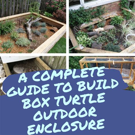 Build A Box Turtle Enclosure