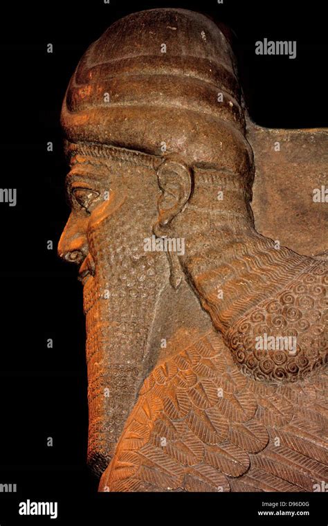 Profile Of Human Headed Winged Bull Or Šedu Statue Assyrian Circa