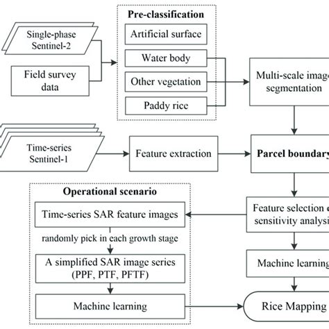 Illustration Of The Rice Mapping Method Ppf Means The Pure