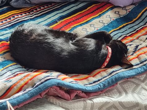 미뤄서 좋은 커뮤니티 게시판 기글하드웨어