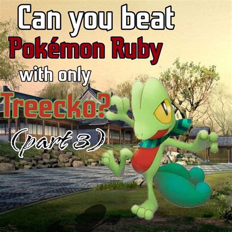 Can you beat Pokémon Ruby with only Treecko Part 3 Pokémon Amino
