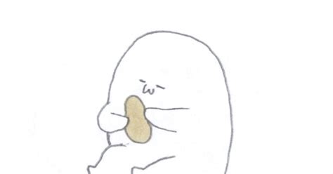 荒巻スカルチノフ 荒巻があなたのために何かをこねています。 ちちるちるのうごイラ Pixiv