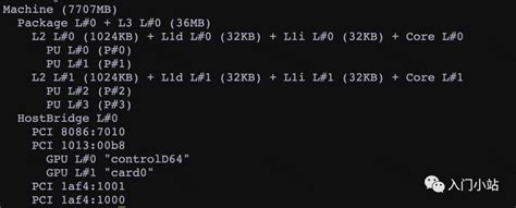 如何在linux系统中查看cpu信息使用lscpu命令行 Linux命令大全手册