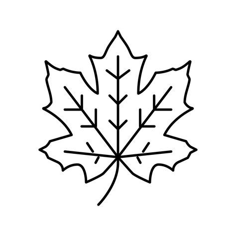 Maple Tree Leaf Line Icon Vector Illustration 19589008 Vector Art At