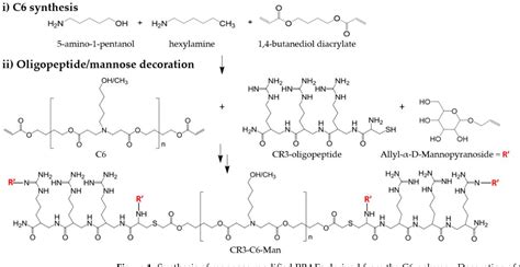 Figure 1 From Poly β Amino Ester S Based Delivery Systems For Targeted Transdermal Vaccination