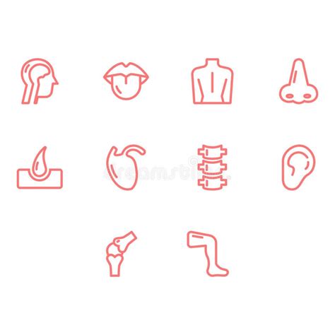 Body Part Icon Set Stock Vector Illustration Of Nose 267461816