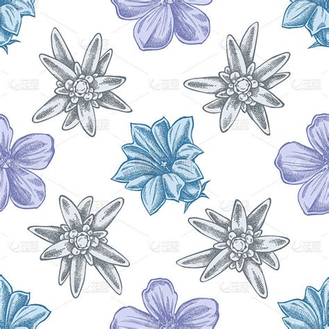 无缝图案手绘雪绒花草甸天竺葵龙胆