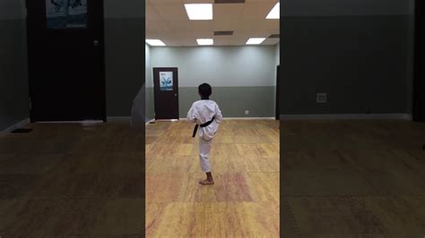 Taekwondo Form Taegeuk Sa Jang YouTube
