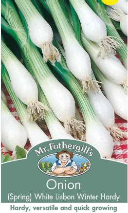 Mr F Onion White Lisbon Winter Hardy Kiwi Nurseries Ltd