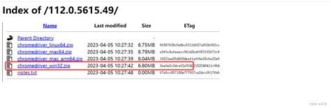 自动化测试Selenium 基于java java selenium CSDN博客
