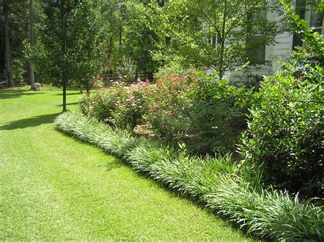 How To Prep Grass Area For Garden At Kathleen Dekker Blog