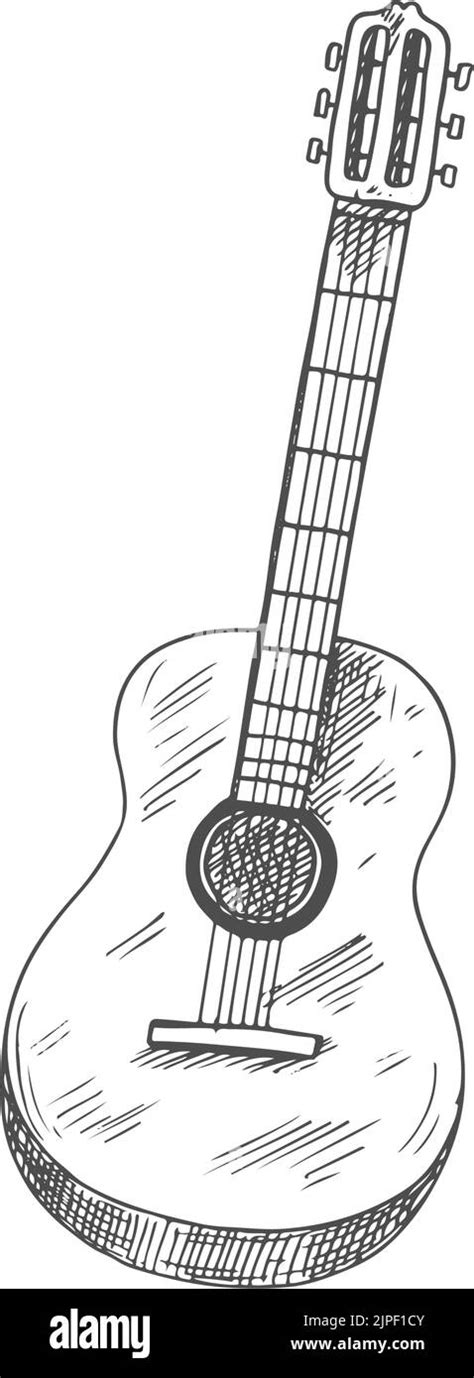 String Guitar Isolated Vector Musical Instrument Sketch Vector