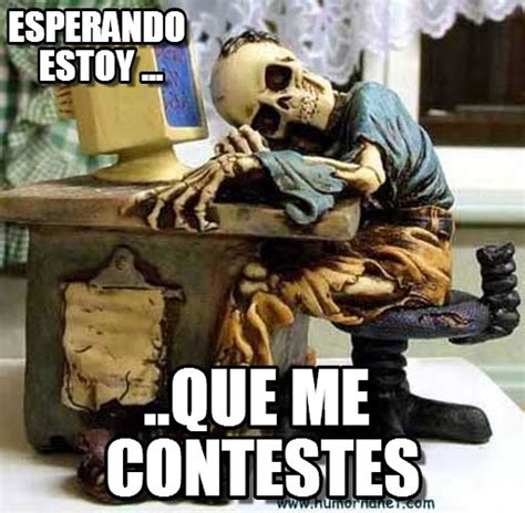 Esqueleto Esperando Meme