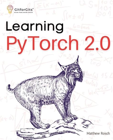 알라딘 Learning Pytorch 20 Experiment Deep Learning From Basics To