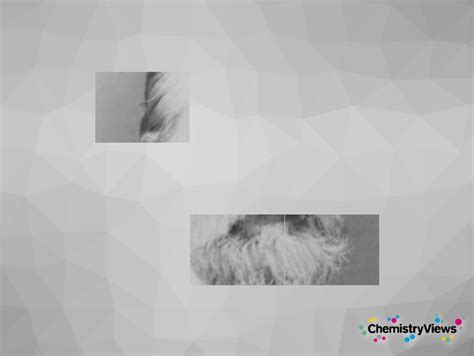 Chemistryviews Which Chemist Is In The Picture 👩‍🔬👨‍🔬