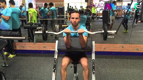 cortina torneo opción curl con banco scott Hay una tendencia aleación