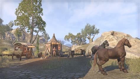 Товары у дорожного святилища The Elder Scrolls Wiki Fandom