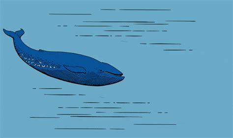 Whale Swallow Blue  On Er By Anallador