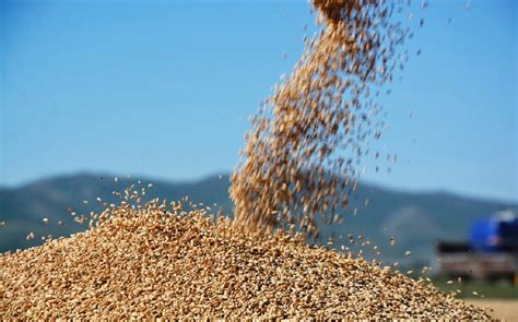 ХАА г дэмжих зээлийн хүүд Засгийн газраас 10 65 ийн дэмжлэг үзүүлэхээр боллоо Tsoh Mn