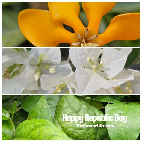 Vinjamuri Sriram Dutt On Linkedin Republicday India Happyrepublicday Republic Jaihind
