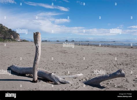Sumner Beach Sumner Christchurch Ōtautahi Canterbury Region South