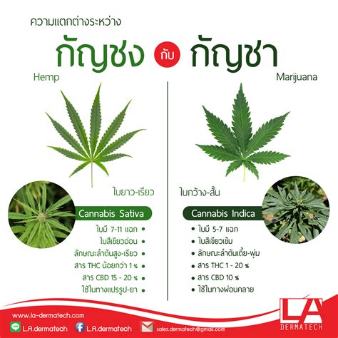 ความแตกต่างระหว่าง L A Dermatech รับผลิตเวชสำอาง