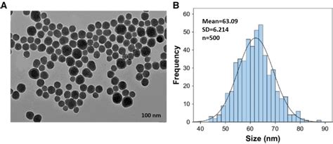 Si Np Characterization Tem Scans Indicated Well Dispersed Spherical