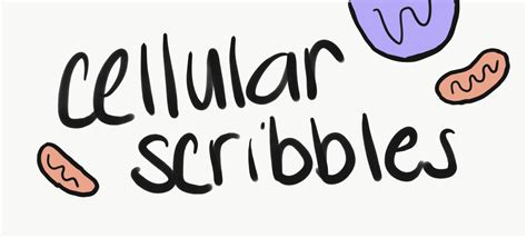 The Amoeba Sisters A Brand New Amoebasisterssisterhood Comic Is Out