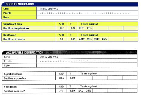 Api Test Chb 50 Results On Isolate Of B Megaterium And B Mycoides