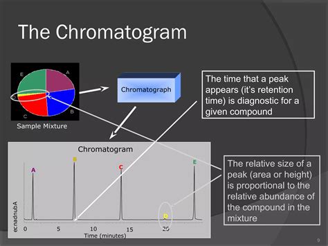 Theory Of Chromatographic Separations Ppt