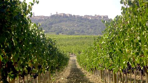 Pinino - Avvenice