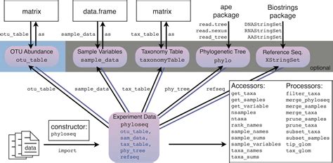 R 匯入 Phyloseq 微生物資料教學與範例 Office 指南