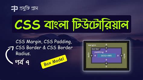 Css Box Model Css Tutorial Bangla Part Css Margin Css Border