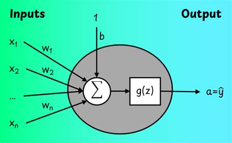 Mastering The Unsqueeze Function In Pytorch A Beginner And Practical