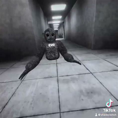 Scary Baboon Vr Youtube