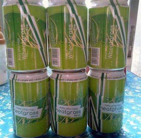 Easy Pha Max Wheatgrass In Can Readty To Drink